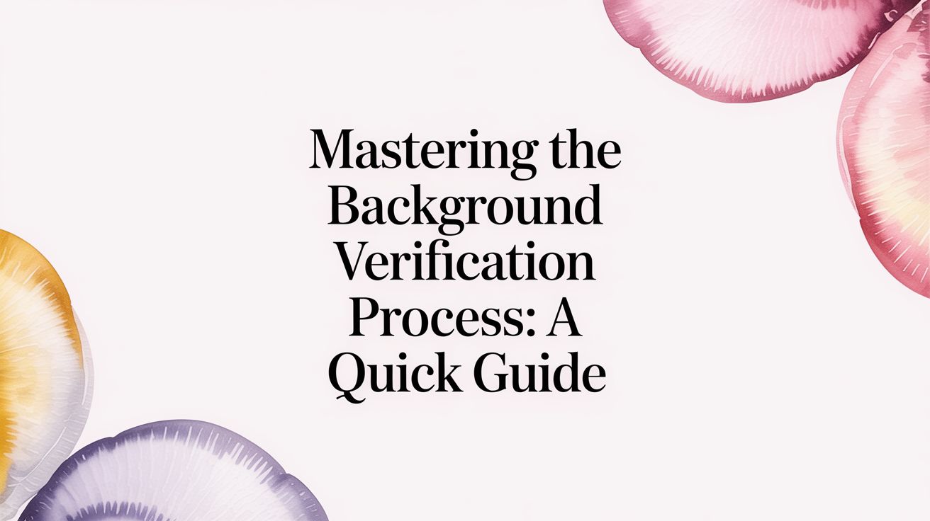 The Background Verification Process Is Broken. Here's How to Fix It.